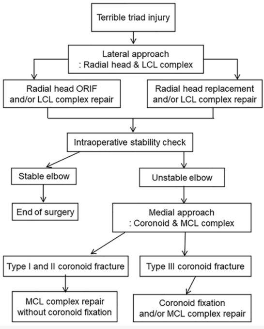 [정형외과 전문의] 팔꿈치 관절의 불안정성, 탈구 (elbow dislocation, PLRI, PMRI, fracture ...