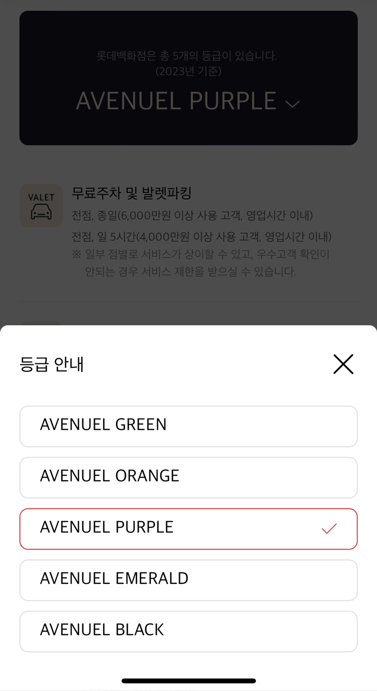 롯데백화점 에비뉴엘 퍼플 등급 대전점 라운지 방문기 및 주차 네이버 블로그