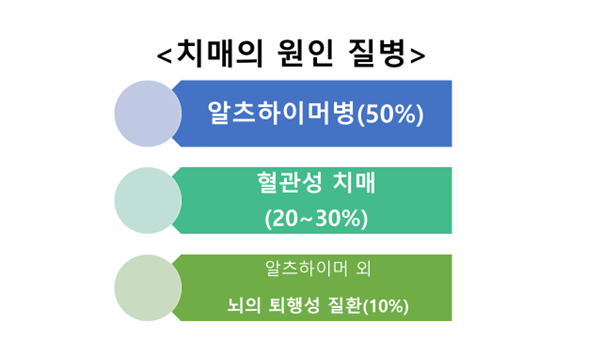 치매알츠하이머병 혈관성 치매의 정의 원인 종류 네이버 블로그