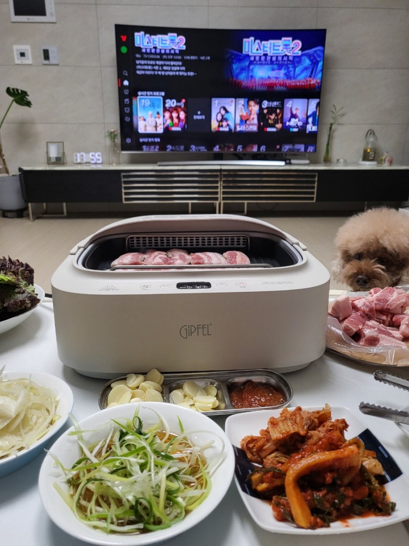 기펠에어커튼 무연그릴 가정용그릴 추천 (GFG-EL147) : 네이버 블로그