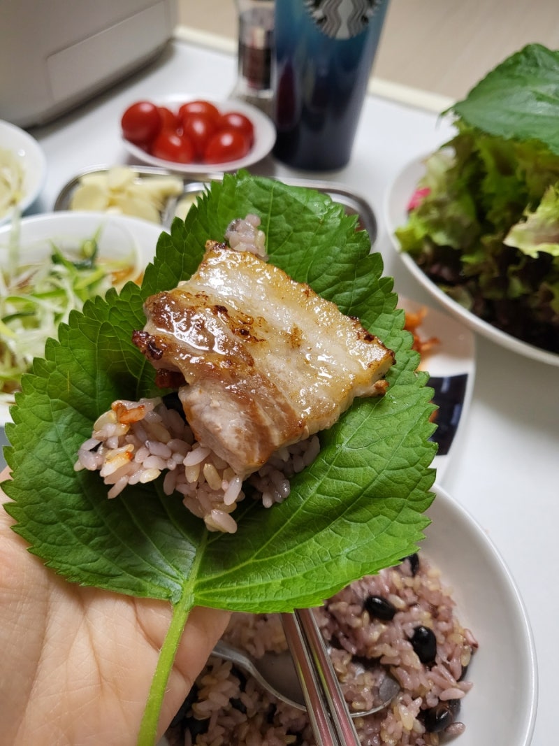 기펠에어커튼 무연그릴 가정용그릴 추천 (GFG-EL147) : 네이버 블로그