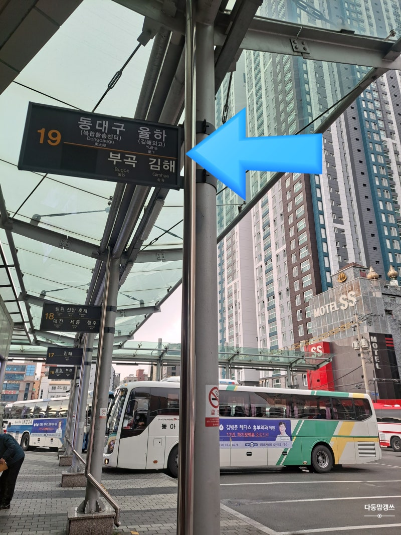 장유 율하김해외고이편한2지구 ⇔ 부산 사상부산 서부터미널 버스 시간표 요금 걸리는 시간 네이버 블로그