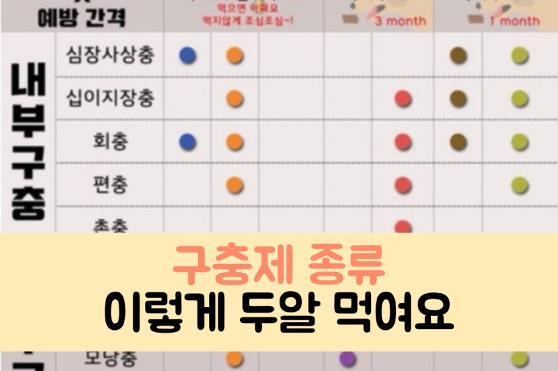 강아지 구충제 종류 구제범위인기조합 네이버 블로그