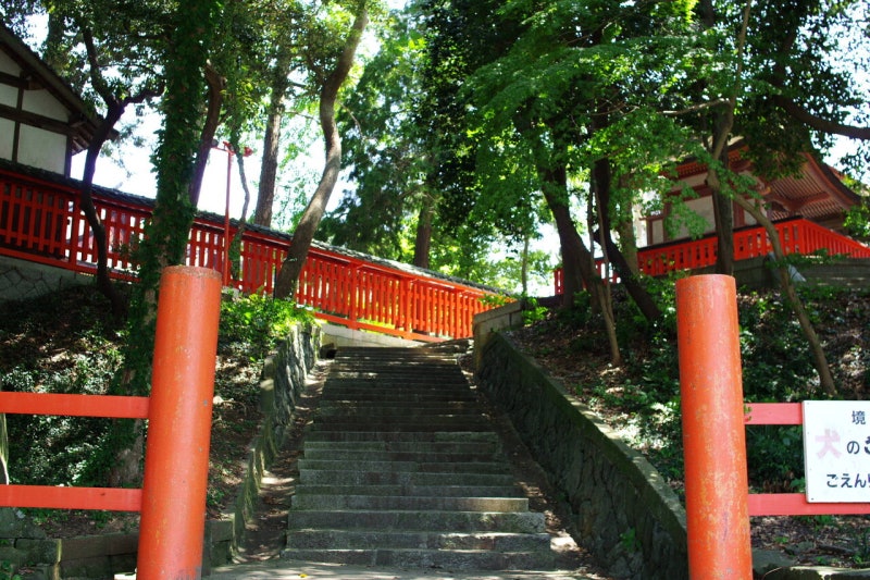 [5ch VIP] 존나 더워서 여름 사진 찍어옴 : 네이버 블로그