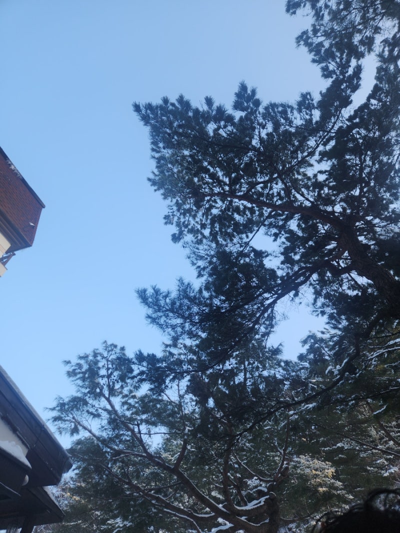 무주 덕유산리조트 노천온천탕 야외노천탕andpool 할인 가격 네이버 블로그