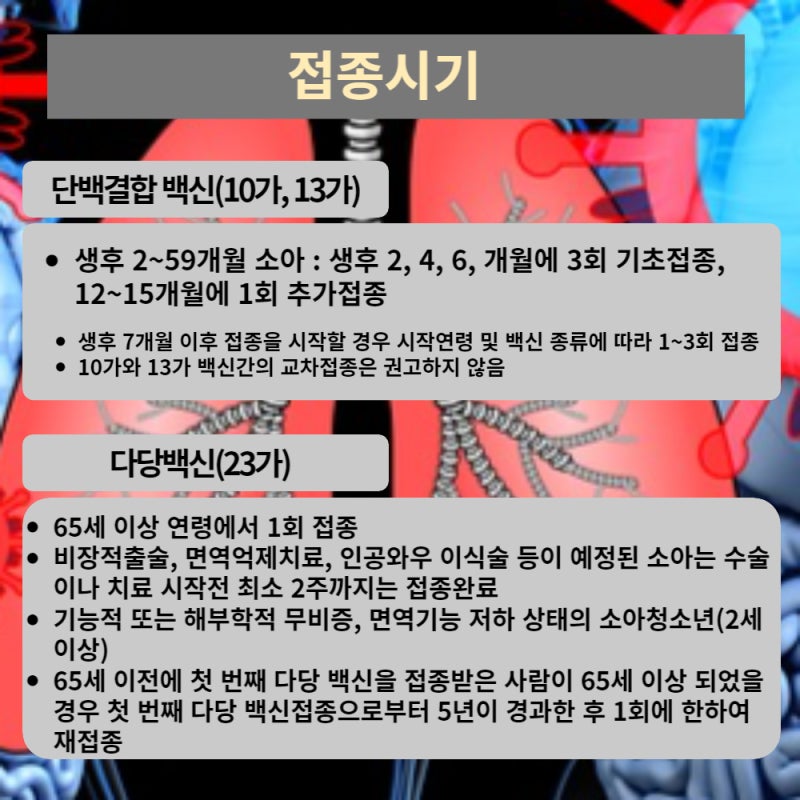 폐렴구균 예방접종 가격 나이 백신 종류 시기 비용 네이버 블로그