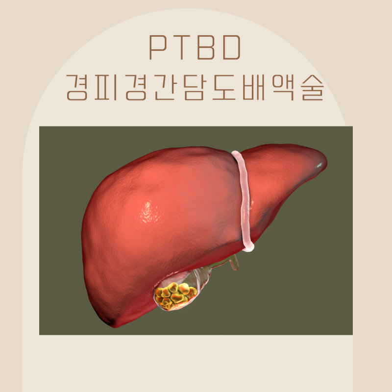 의학용어 PTBD & PTGBD 목적 차이점 이럴 땐 노티 : 네이버 블로그
