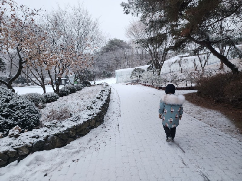 홍천 모둘자리 체험마을 겨울 여행은 강원도가 진리 네이버 블로그