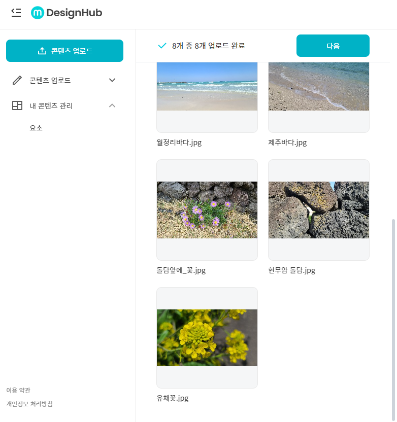 한달 된 초보 미리캔버스 기여자 디자인허브 사용 후기 달토깽이 네이버 블로그