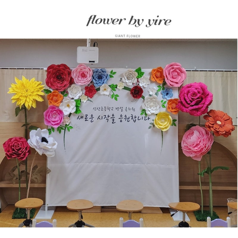 지역축제 행사 포토존 대여 대구 졸업식 입학식 기업행사 이벤트 학부모 교사연수 특기적성 수업 관공서 대구 경북 울산경남 도청