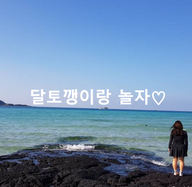 한달 된 초보 미리캔버스 기여자 디자인허브 사용 후기 달토깽이 네이버 블로그