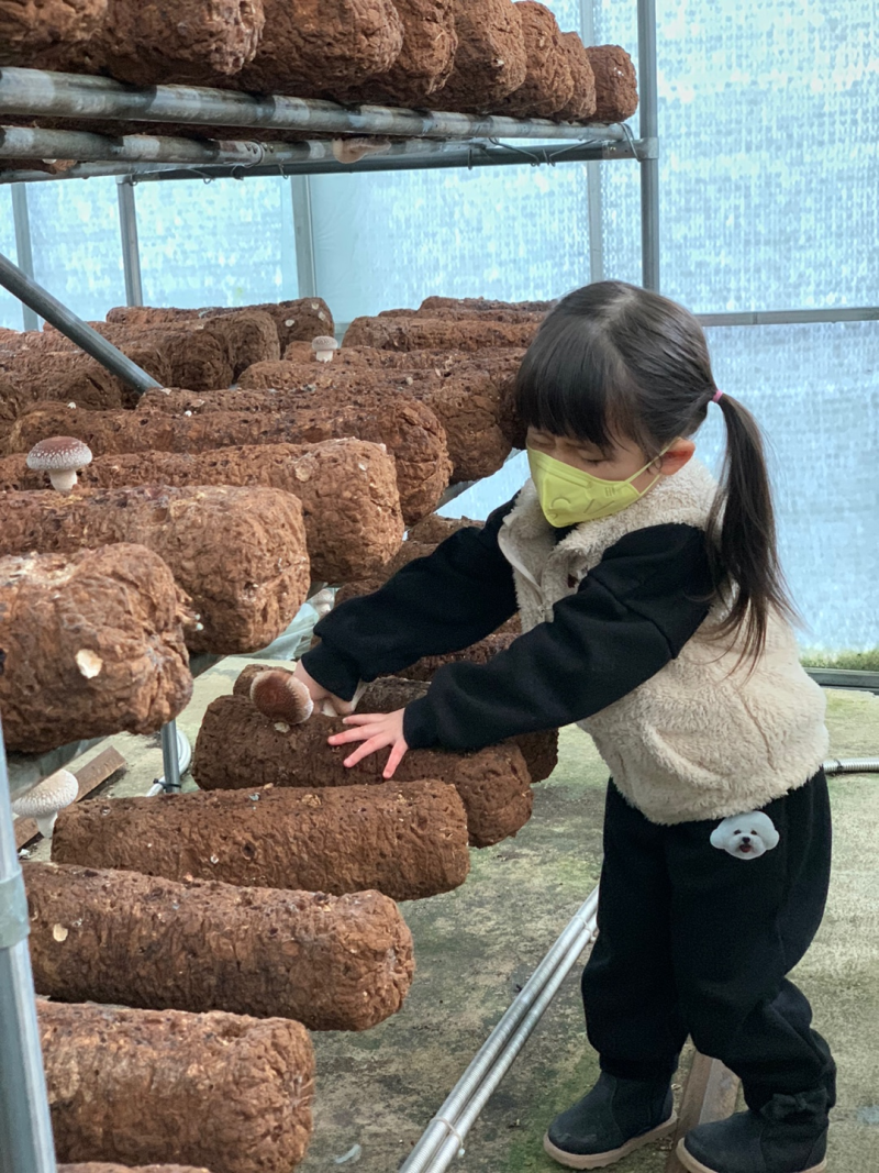 경남 부산근처 창녕 버섯따기 체험 피자만들기 체험 표고버섯가득한뜰경남 이색체험 경남 아기 체험 부산근처 아기 체험활동