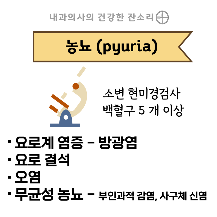 소변 염증 백혈구 있다 증상도 없는데 치료를 받아야 하나요 무증상 세균뇨 네이버 블로그