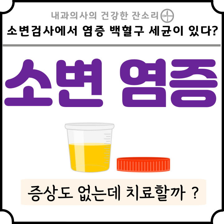 소변 염증 백혈구 있다 증상도 없는데 치료를 받아야 하나요 무증상 세균뇨 네이버 블로그