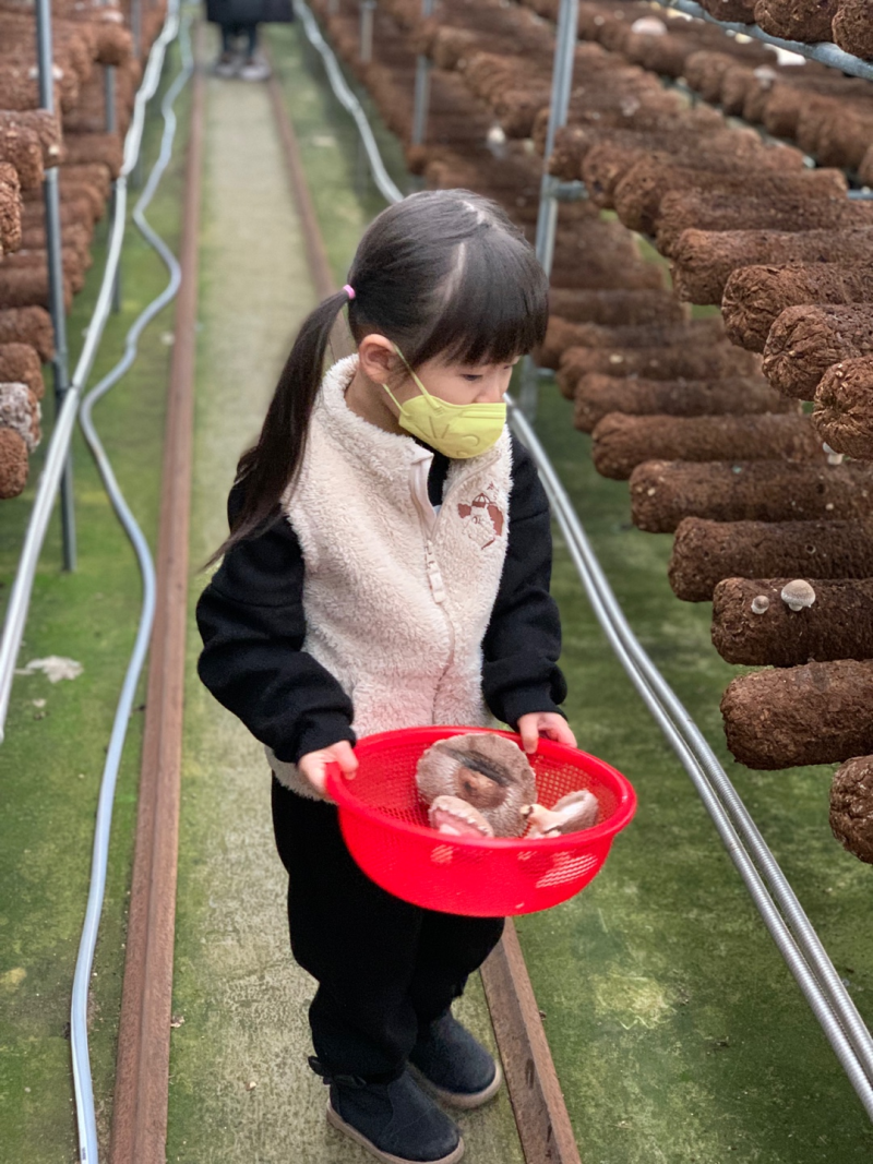 경남 부산근처 창녕 버섯따기 체험 피자만들기 체험 표고버섯가득한뜰경남 이색체험 경남 아기 체험 부산근처 아기 체험활동