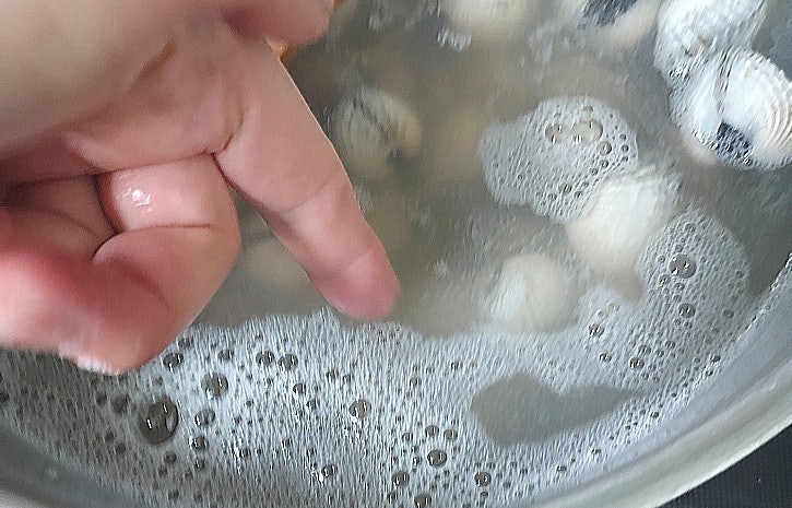 꼬막 비빔밥 양념장 레시피 꼬막해감 삶는법 데치기 세척 꼬막손질 꼬막삶는시간 방법 꼬막까는법꼬막비빔장 꼬막양념장 소스
