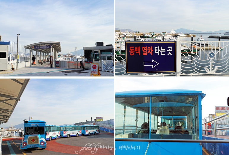 여수 여행 여수 오동도 동백꽃 개화시기 겨울 여수 여행지 네이버 블로그