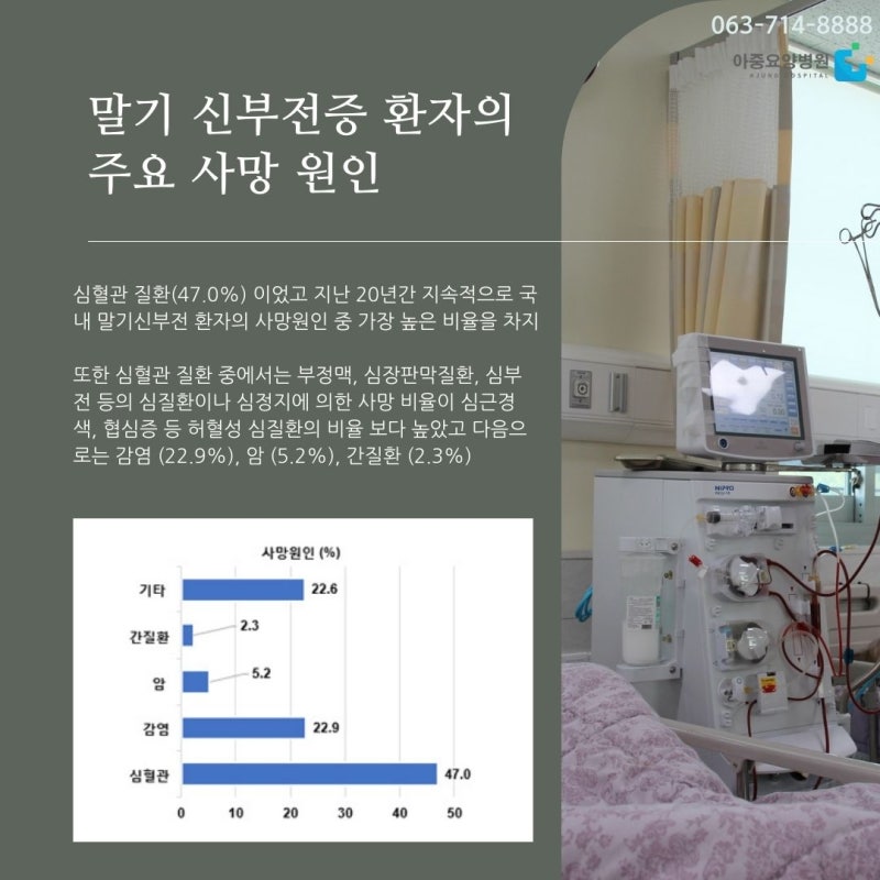전주신장투석 혈액투석의 생존율과 사망율 사망원인 And 노인 만성콩팥병 환자에 관해 네이버 블로그