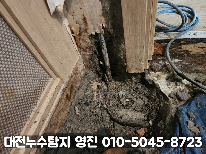 계룡시 누수 잘하는 업체 어디에요엄사면 블루힐스와 금암동 신성미소지움 아파트 누수탐지 편 네이버 블로그