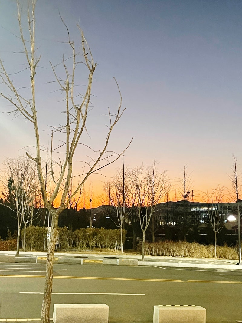팍시 발효율피 다이어트 신세경 다이어트 한달 후기 살빠짐 네이버 블로그