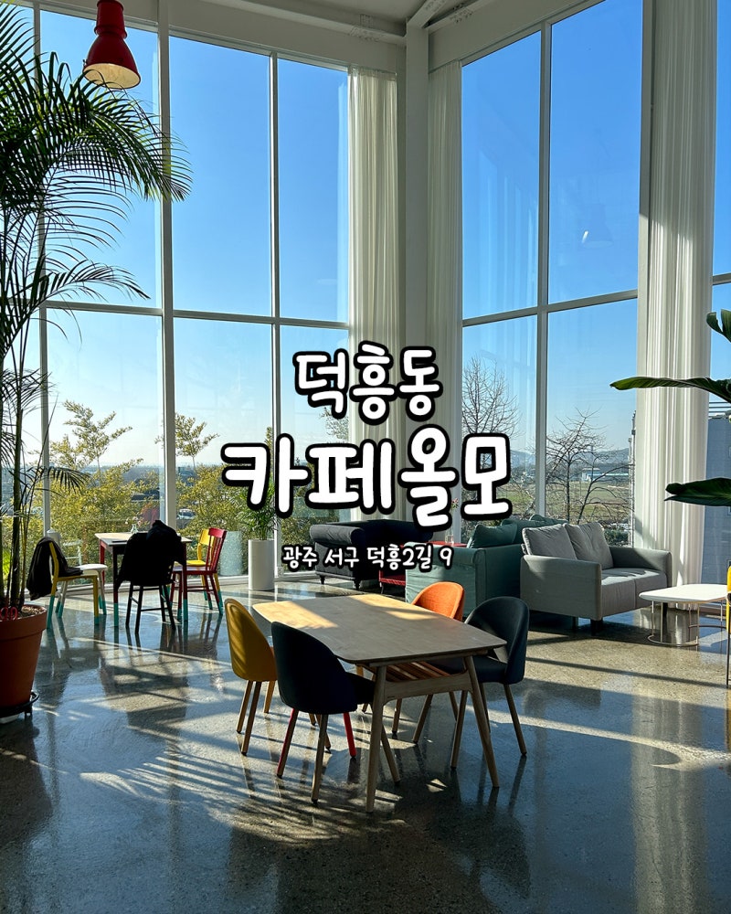 통창유리 채광 맛집 광주 대형 신상 카페 카페올모 네이버 블로그