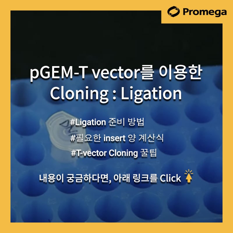 [Cloning] pGEM-T vector를 이용한 Cloning : Ligation : 네이버 블로그