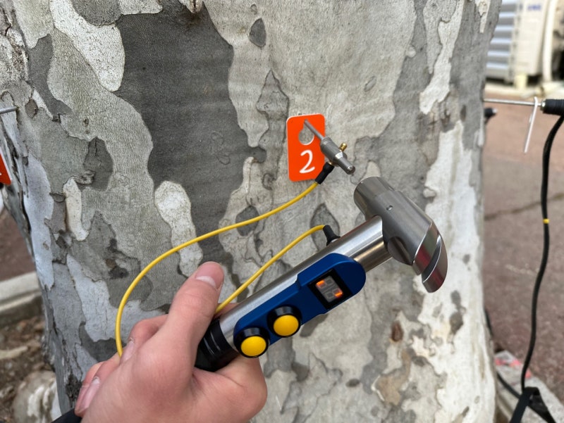 수목정밀진단장비 피쿠스 : Picus 3 Sonic Tomograph : 네이버 블로그