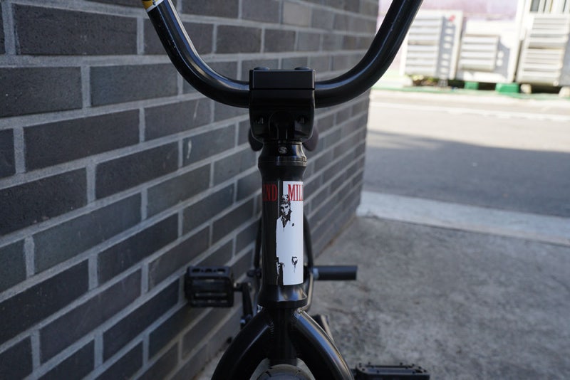 FIEND Mills (Lewis Mills signature) SUPER SHREDD CUSTOM BMX [임요한 라이더 ...
