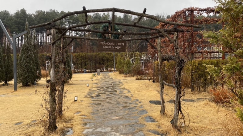 경기이천 티 하우스 에덴 홍차향 나는 스콘맛집 식물원 카페 네이버 블로그