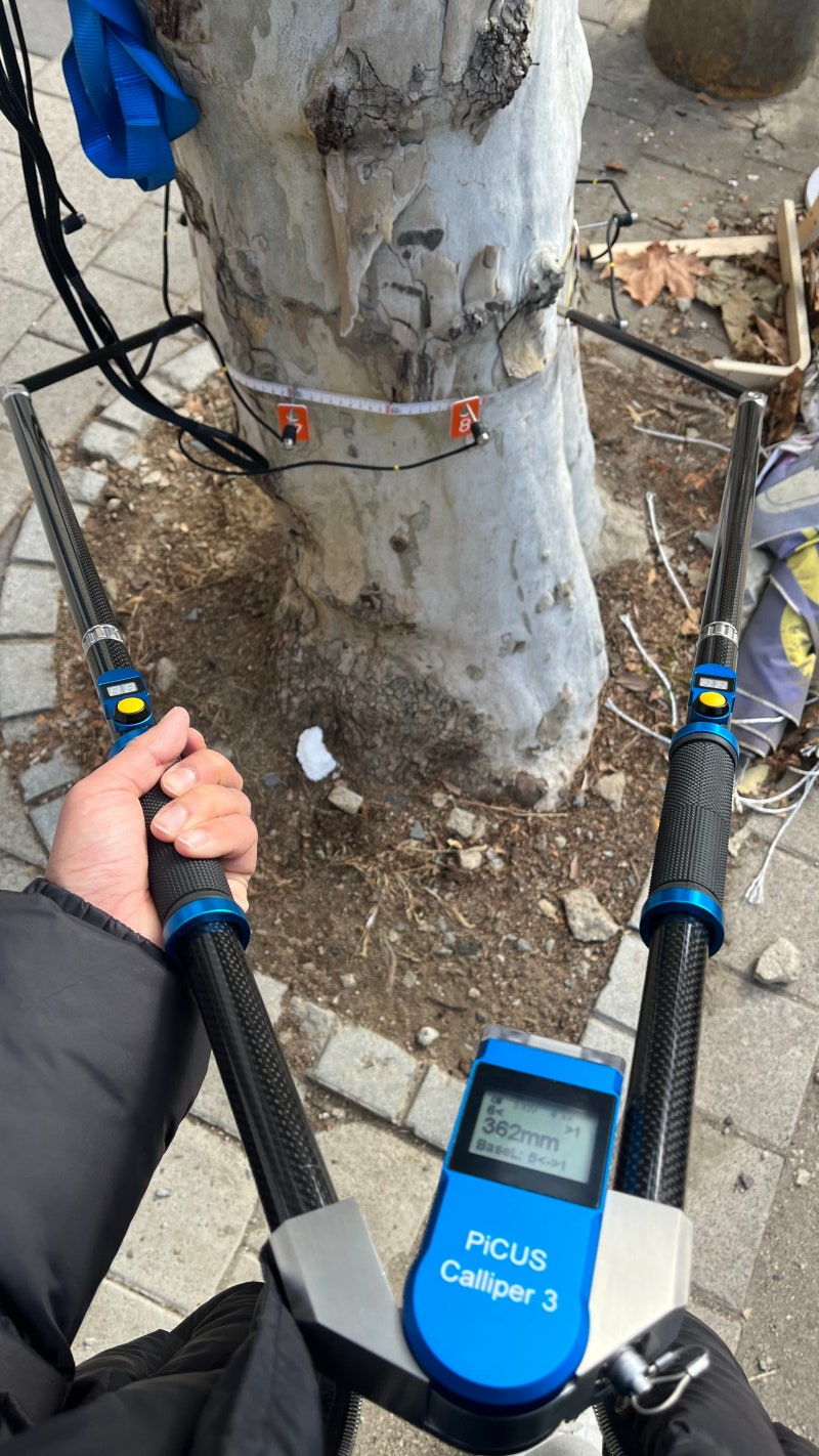 수목정밀진단장비 피쿠스 : Picus 3 Sonic Tomograph : 네이버 블로그