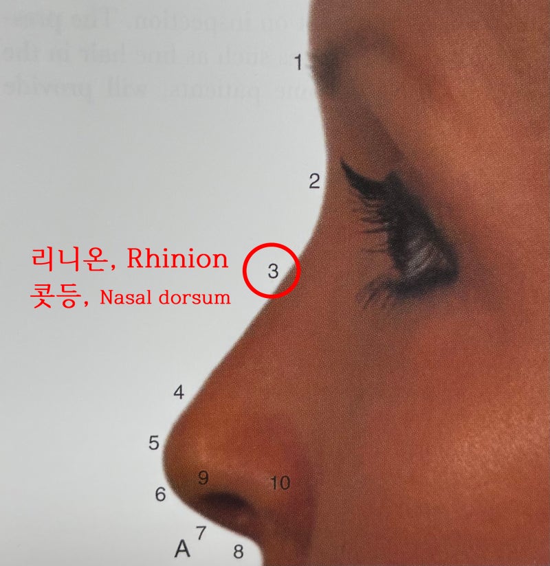 [코성형] 코 부위별 명칭, 이름, 각도 용어 완벽 총정리 해봅시다. (feat. 코성형 상담 전 준비사항) : 네이버 블로그