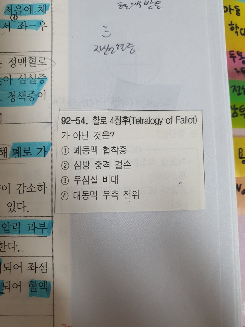 보건 임용 기출분석 방법 정리 분석 예시 기출문제집 네이버 블로그