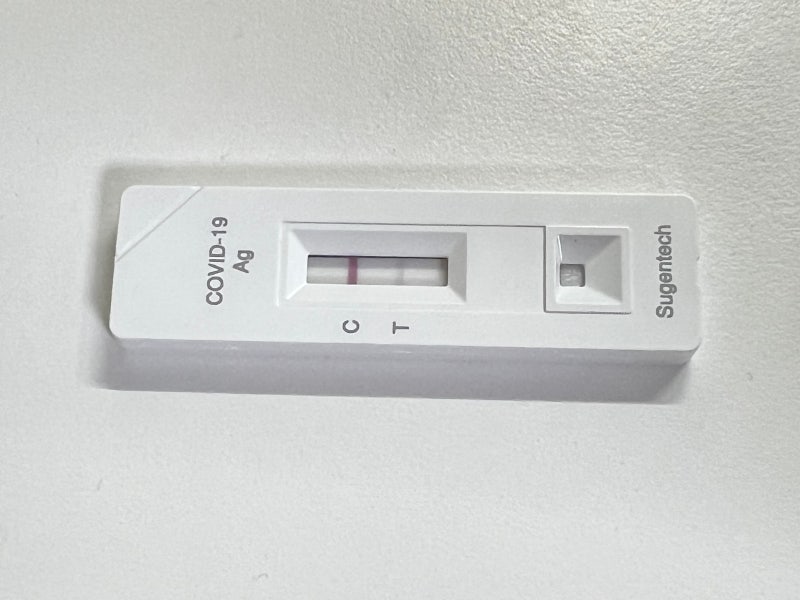 코로나 후기 신속항원검사 자가격리와 격리통지서 발급 자취일기 네이버 블로그
