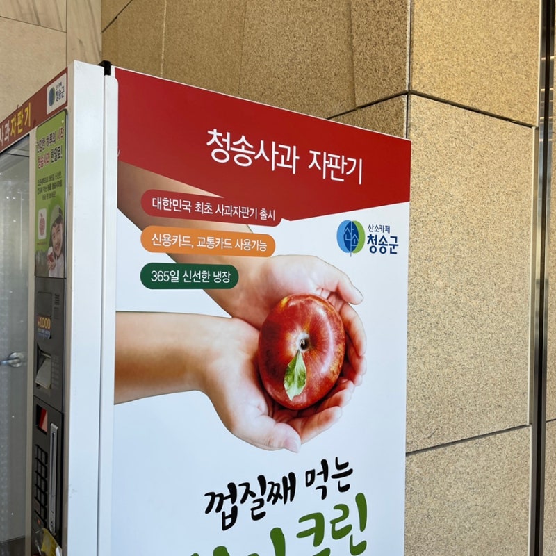 청송 가볼 만한 곳 청송 온천여행 청송 소노벨 온천 솔샘 온천 과 솔기 온천 네이버 블로그