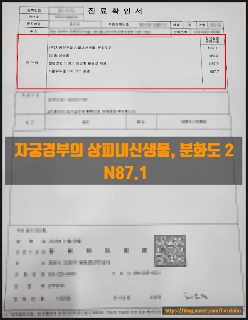 자궁경부의 상피내신생물 분화도2n871으로 제자리암 진단비 지급 받은 사례 네이버 블로그
