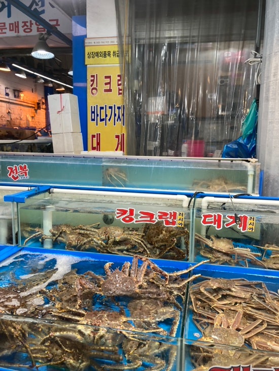 경기구리 구리농수산물도매시장 해인수산 킹크랩 포장 후기 네이버 블로그