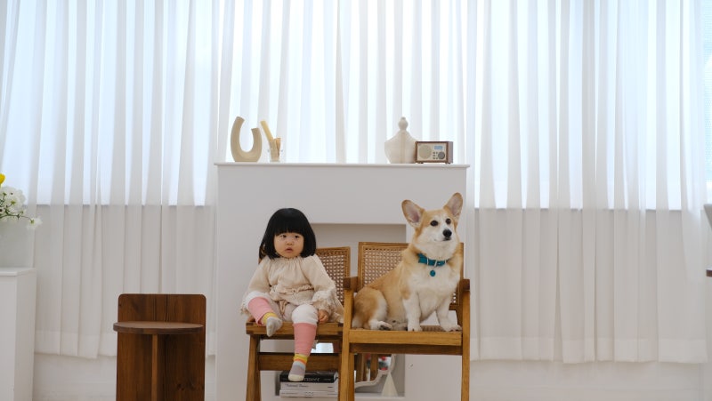 2023년 기저귀바우처 금액인상 기준중위소득 80 저소득층 기저귀지원사업 신청방법 네이버 블로그