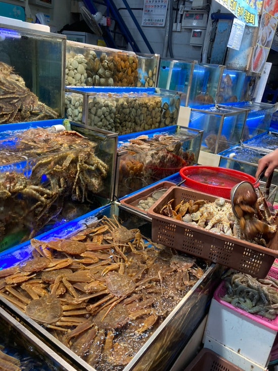 경기구리 구리농수산물도매시장 해인수산 킹크랩 포장 후기 네이버 블로그