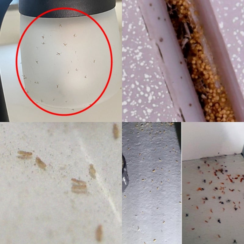 분양아파트 입주 전 시공순서 및 새집증후군 시공 사전점검 하자 체크 전문가 통해 깊이있고 안심할 수 있게 서울인천검단