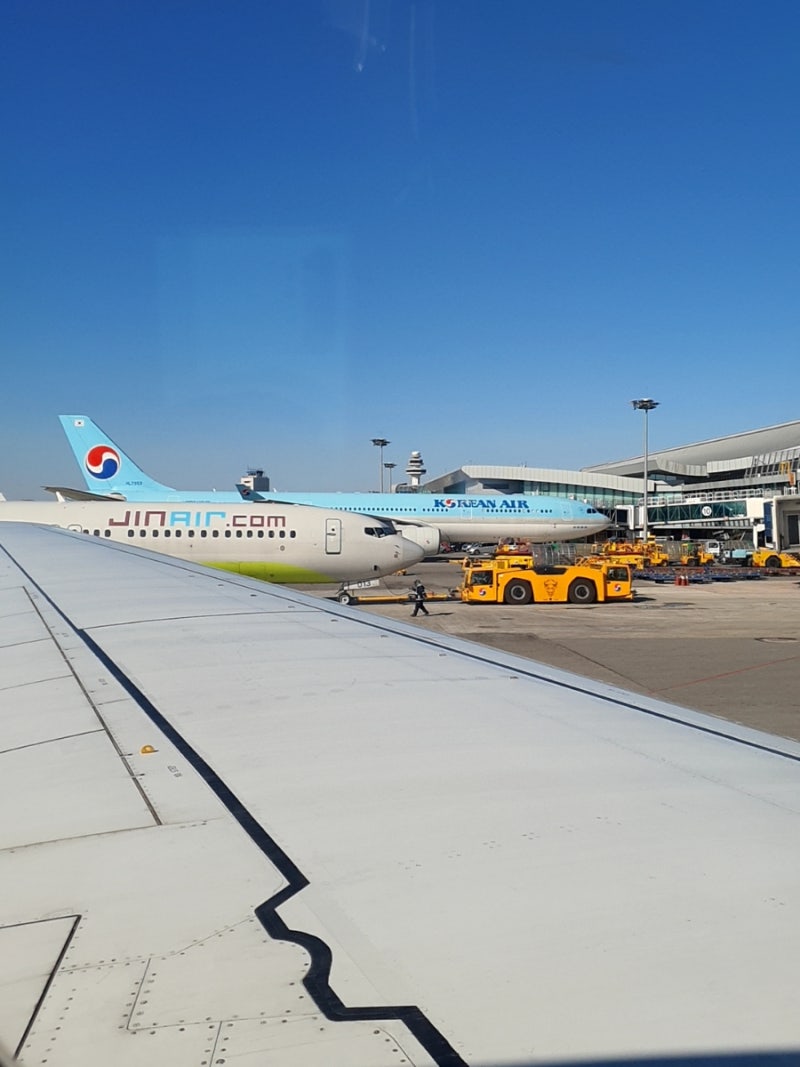 제주도 한라산 가요 1 김포공항 ️ 도르멍 흑돼지빵 용연구름다리 용연보말 칼국수 라마다 프라자 제주 호텔 스포츠