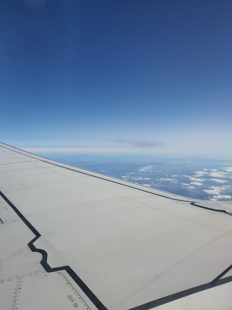 제주도 한라산 가요 1 김포공항 ️ 도르멍 흑돼지빵 용연구름다리 용연보말 칼국수 라마다 프라자 제주 호텔 스포츠
