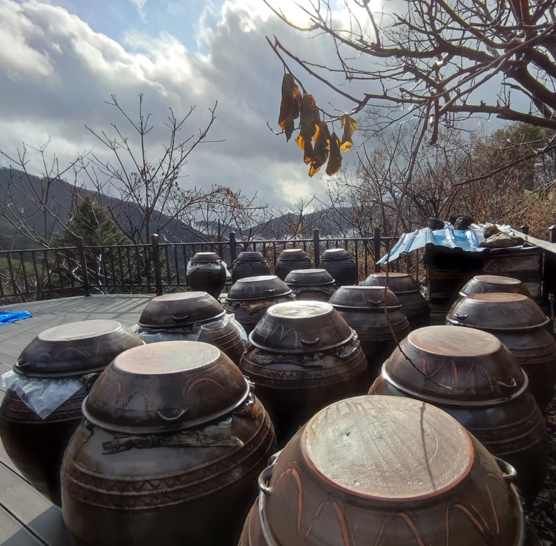 전남 구례맛집 당치민박산장 지리산고로쇠 네이버 블로그