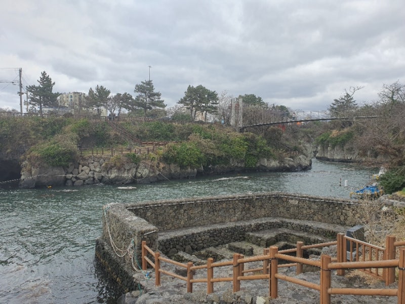 제주도 한라산 가요 1 김포공항 ️ 도르멍 흑돼지빵 용연구름다리 용연보말 칼국수 라마다 프라자 제주 호텔 스포츠