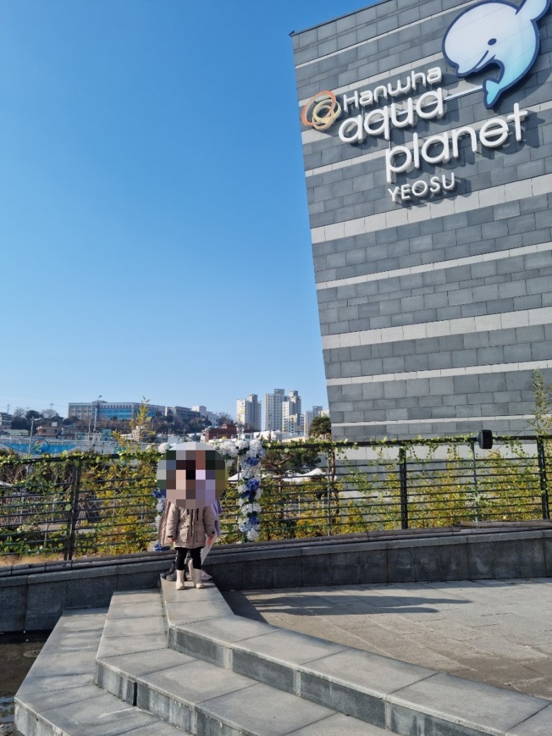 여수 아쿠아플라넷 관람 후기티켓구매팁 여수여행 3편 네이버 블로그