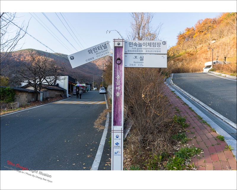 경북 여행 청도 와인터널 국내 가족여행 드라이브코스 네이버 블로그