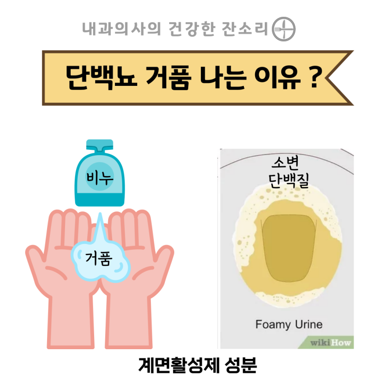 소변에서 거품을 보고 놀란 당신에게 거품뇨는 단백뇨가 아니다 네이버 블로그
