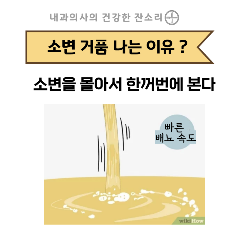 소변에서 거품을 보고 놀란 당신에게 거품뇨는 단백뇨가 아니다 네이버 블로그