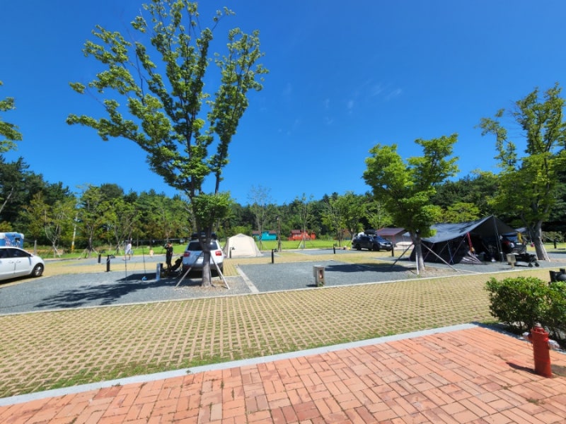 울산 오토캠핑장 황방산 생태야영장 리뷰사이트 예약 방법 부대시설 애견 동반 네이버 블로그