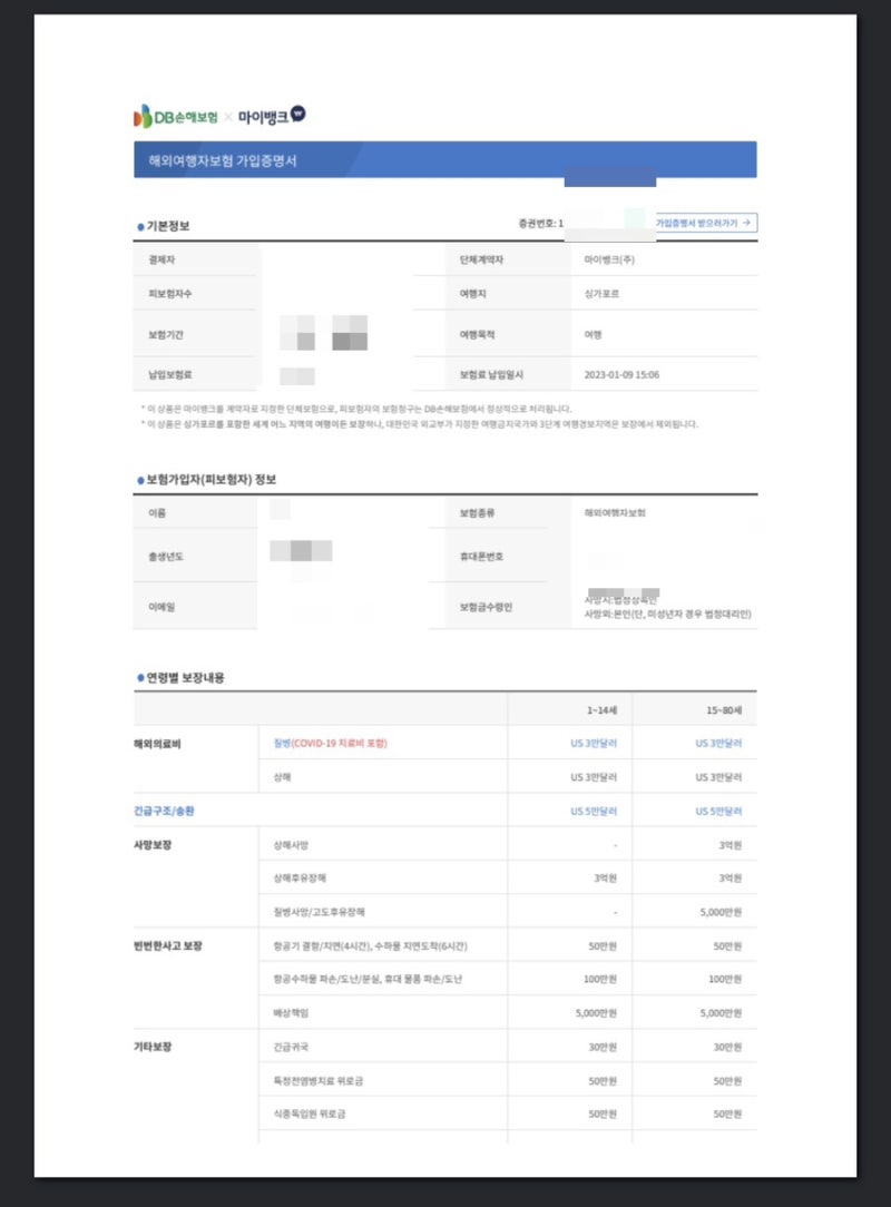 싱가포르 여행 사전 준비물 꿀팁 대방출 트래블 월렛 카드 Esim 아이폰 이심 창이공항 바우처 마리나베이샌즈