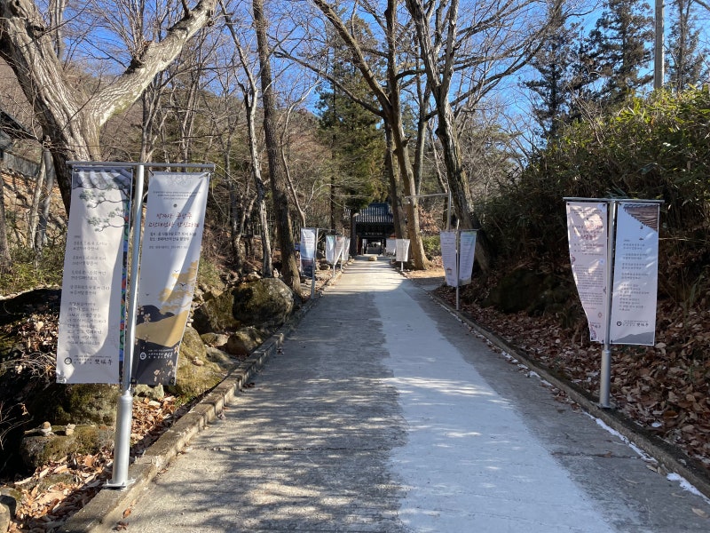 쌍계사 다녀왔습니다 하동 가볼만한 곳 쌍계사 입장료 주차 꿀팁 네이버 블로그